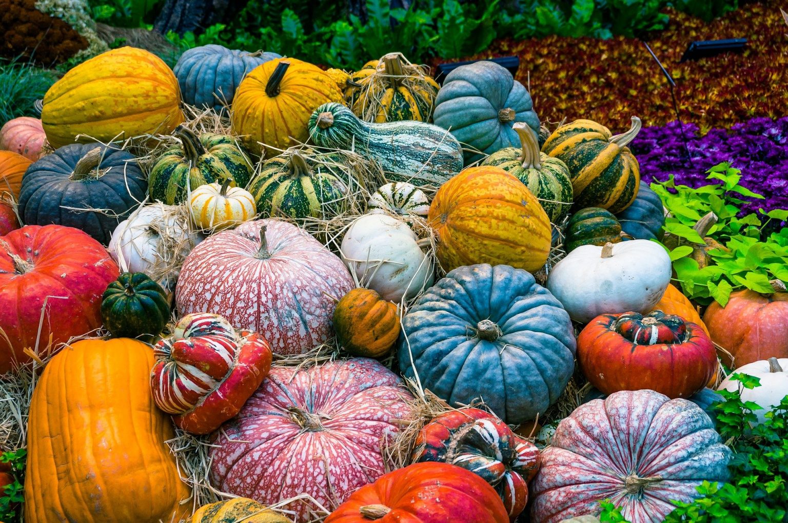 Autumn Cooking • Sensory Soup