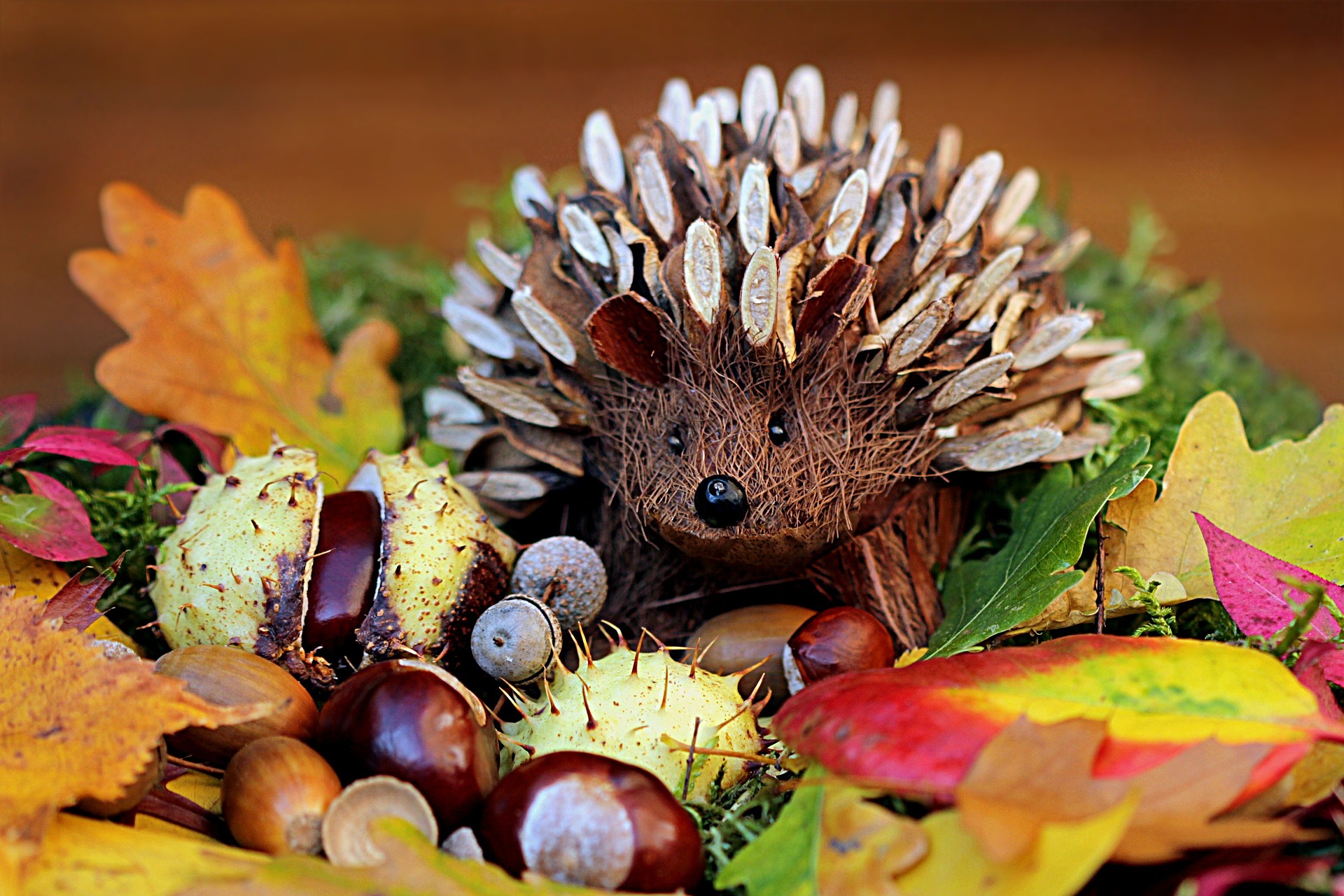 Hedgehog Bread • Sensory Soup