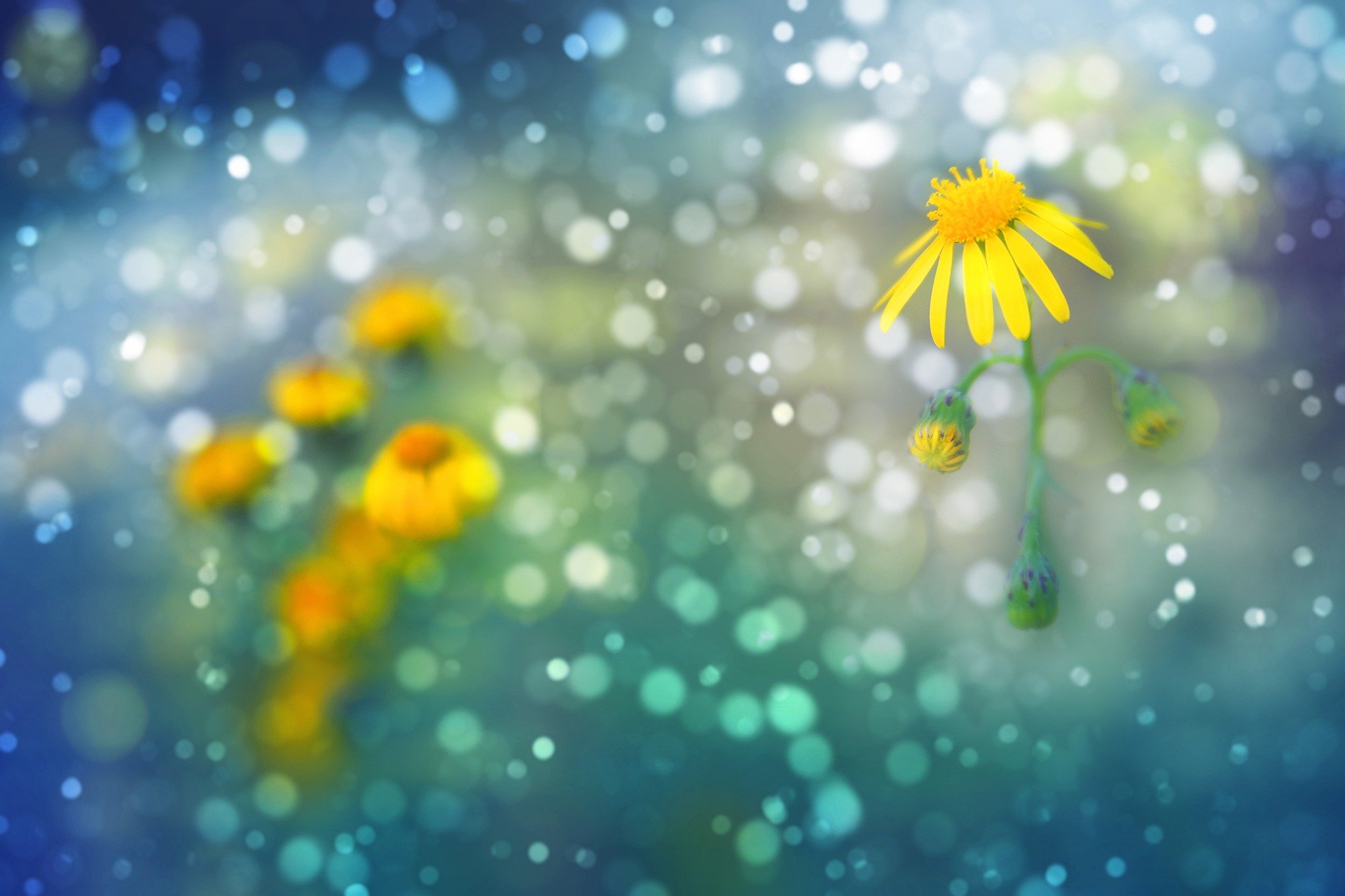 A Windy Day In Spring • Sensory Soup