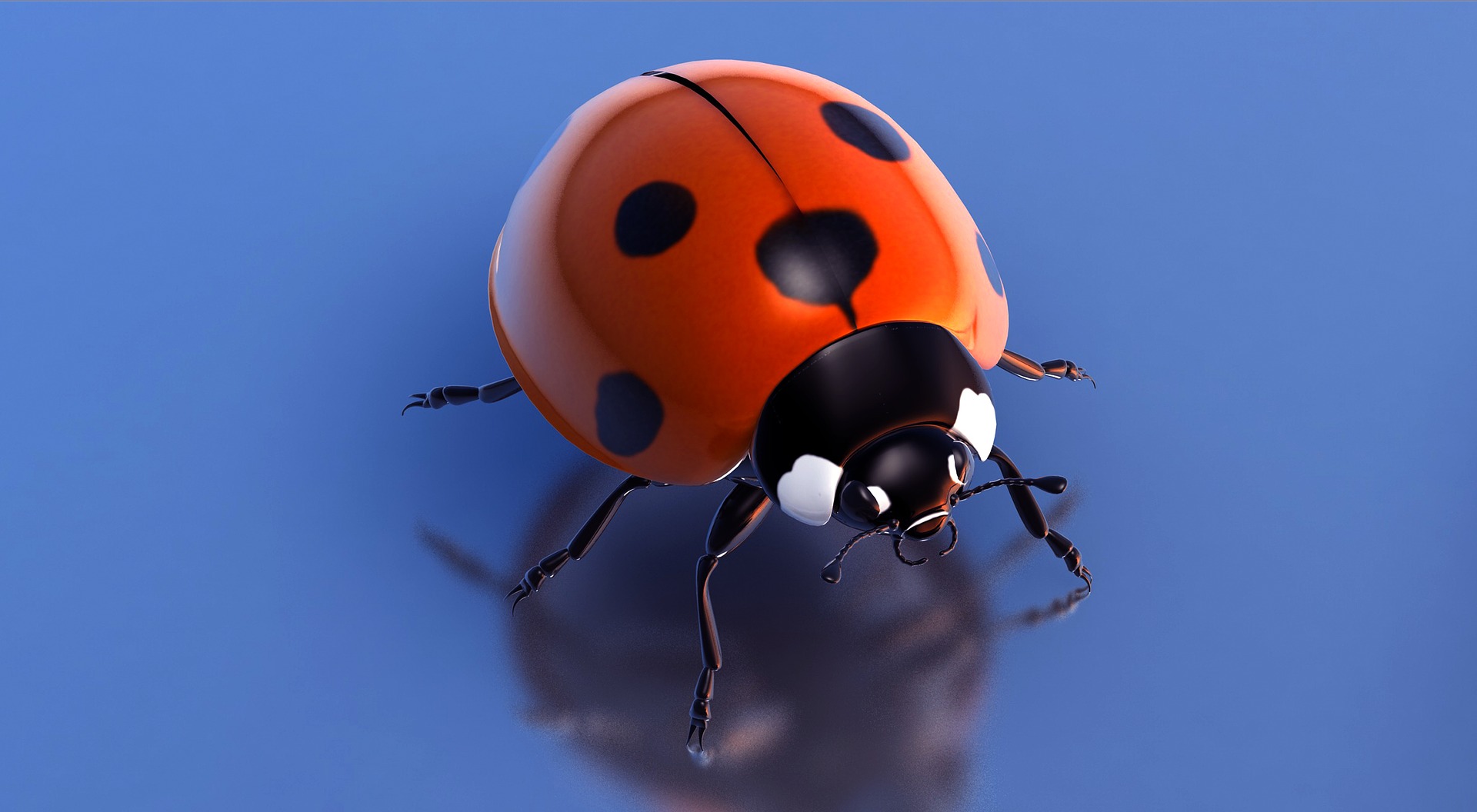 Ladybird Numbers • Sensory Soup
