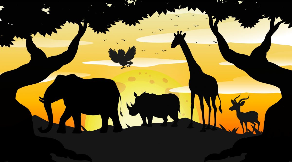 Safari Dance Massage • Sensory Soup