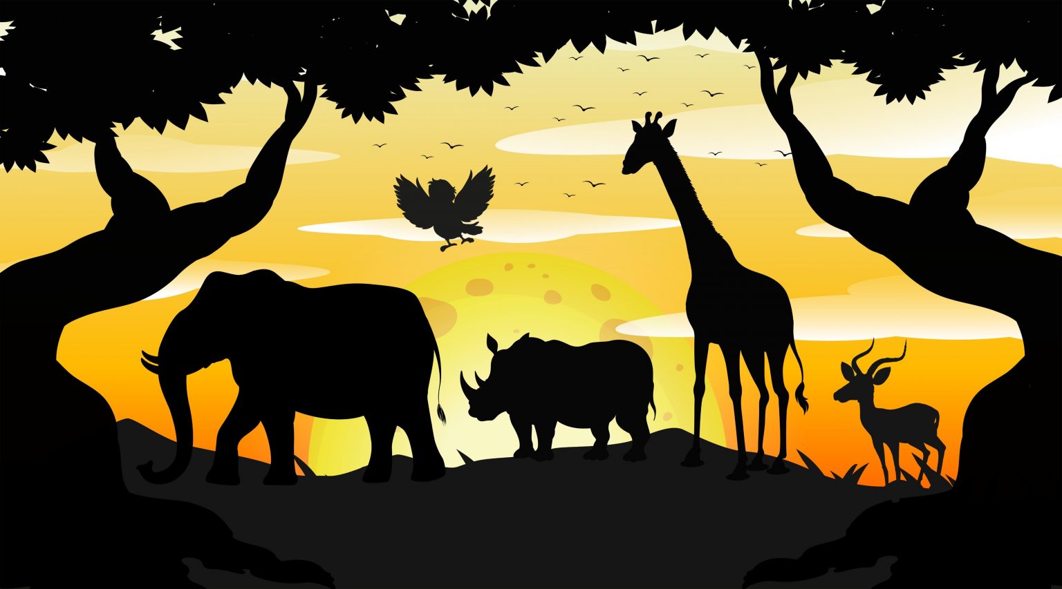 Safari Dance Massage • Sensory Soup