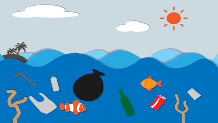 SAVE OUR OCEANS • Sensory Soup